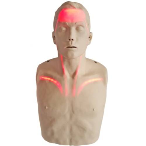 Brayden Reanimationsmodell– mit LED-Feedback effektives HLW-Training ...