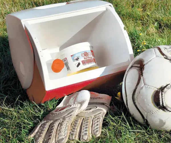 Kältebox mit schwenkbarem Deckel - Tragbare Kühlung | 6.6L – Medasi.shop